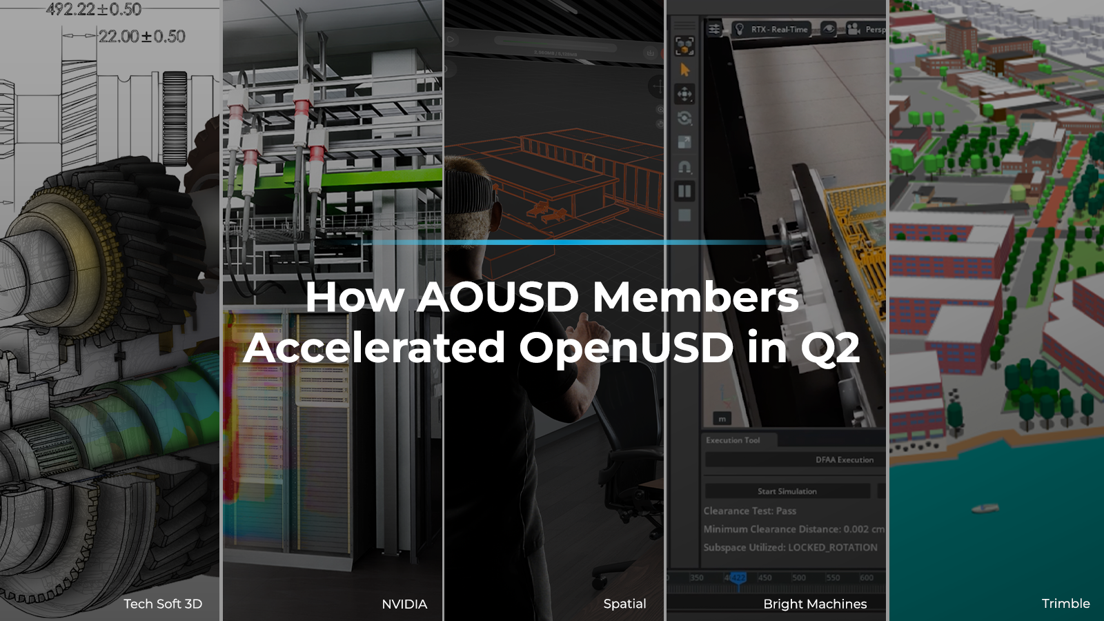 Home - The Alliance for OpenUSD (AOUSD)